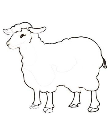 PLANSE DE COLORAT CU OI, MIEI