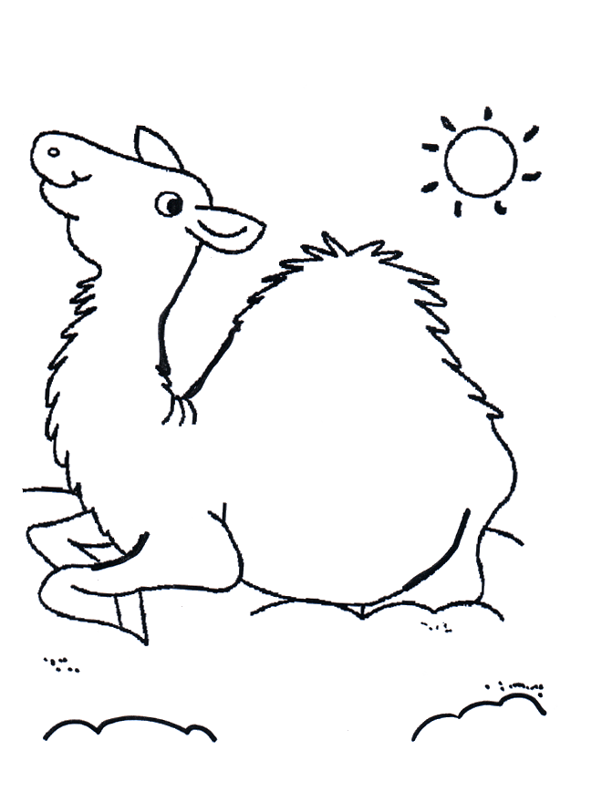 PLANSE DE COLORAT CU DROMADERI