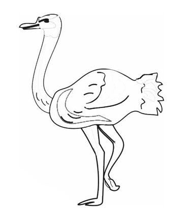 DESENE DE COLORAT CU STRUTI