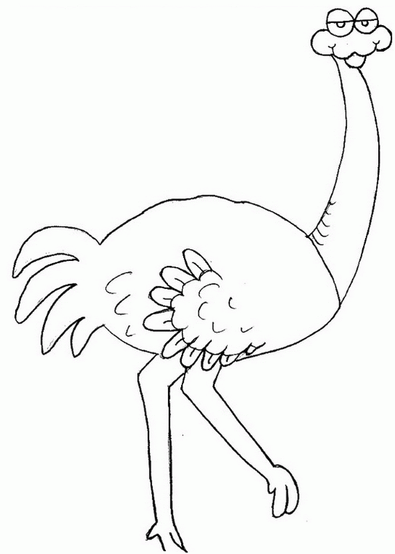 DESENE DE COLORAT CU STRUTI