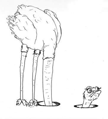 DESENE DE COLORAT CU STRUTI