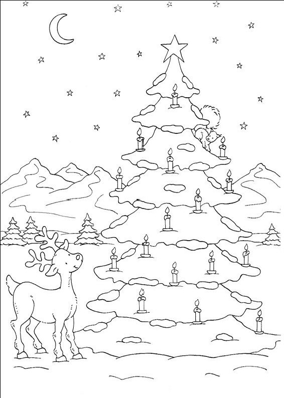 PLANSE DE COLORAT CU BRAD DE CRACIUN