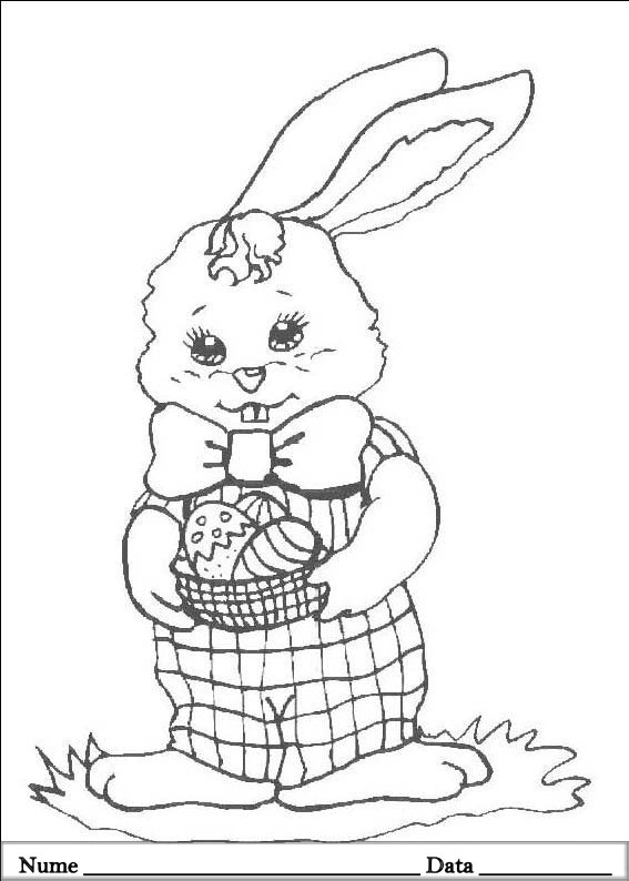 PLANSE DE COLORAT CU IEPURASI DE PASTI